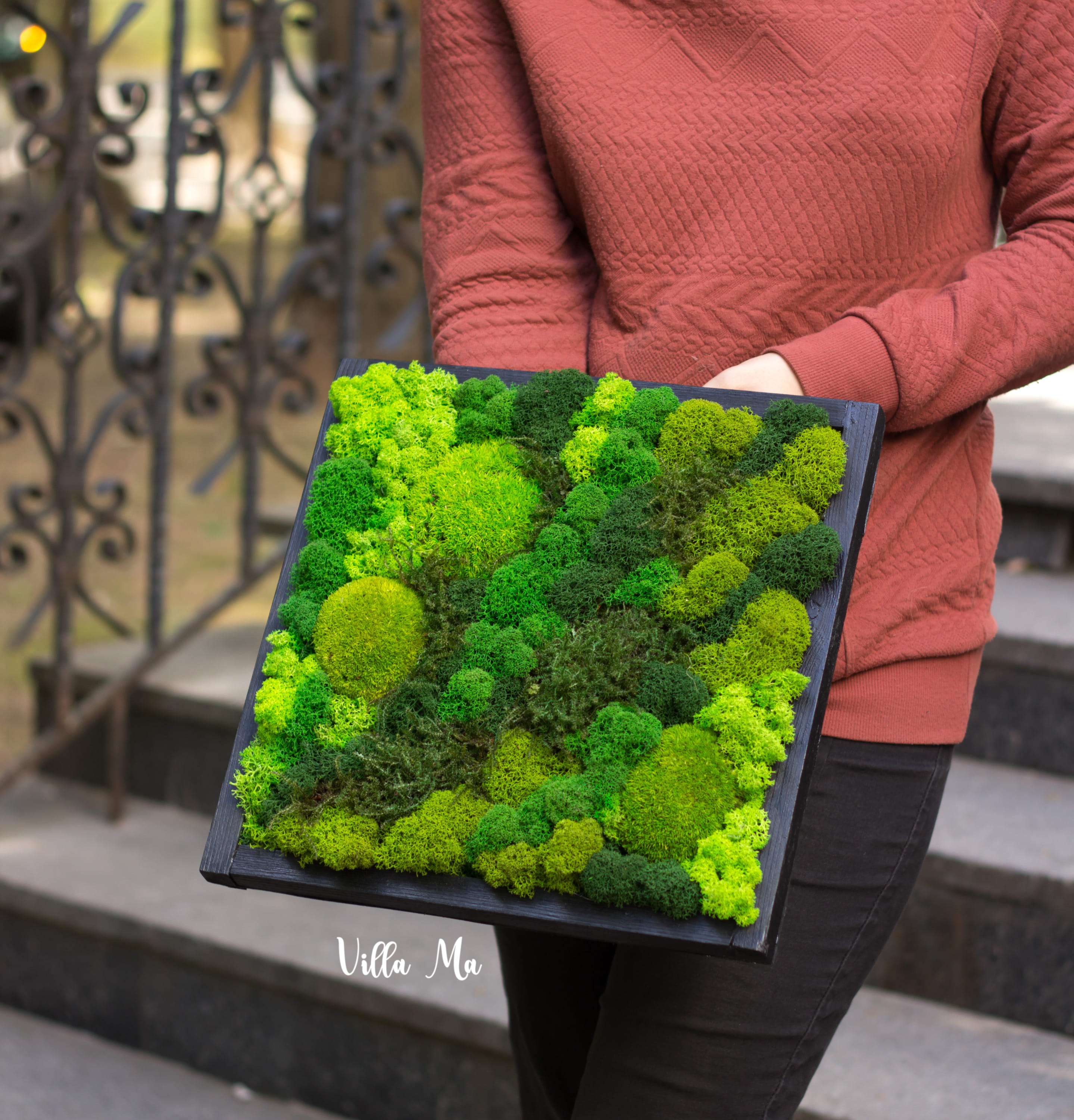 Купить Эко - картина из стабилизированного мха в черной раме в Минске ...